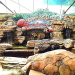 Full-day Genting Tour Enroute Batu Caves 2-way Cable Car Ride - The Watch Shop: A Glimpse of Local Business