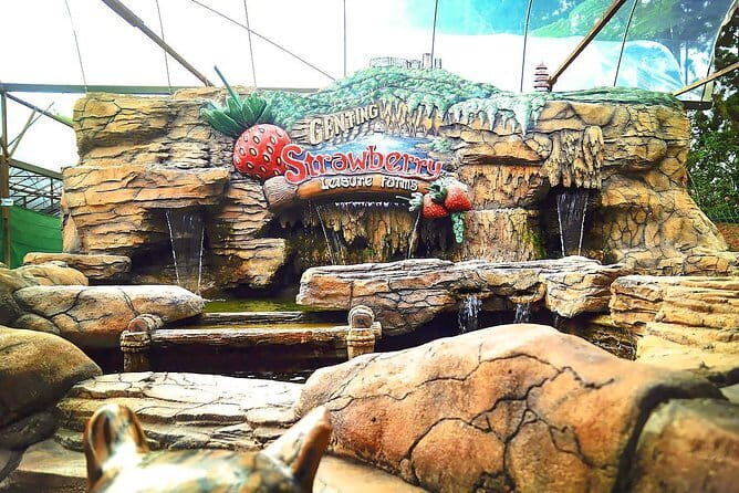 Full-day Genting Tour Enroute Batu Caves 2-way Cable Car Ride - The Watch Shop: A Glimpse of Local Business