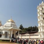 Full-Day Goa Shore Excursion Including Lunch at Spice Plantation - What to Expect: A Step-by-Step Breakdown