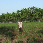 Full-Day Goa Shore Excursion with Lunch at a Spice Plantation - The Sum Up: Who Should Book This Tour?