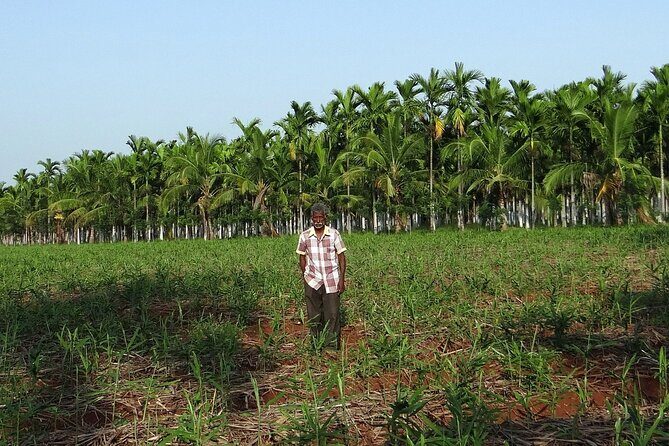 Full-Day Goa Shore Excursion with Lunch at a Spice Plantation - The Sum Up: Who Should Book This Tour?