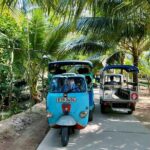 Full Day Guided Mekong Delta Day Tour in Vietnam (Multilingual) - What’s Included and What’s Not