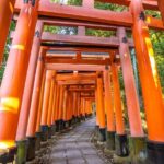 Full Day Guided Tour to Kyoto and Nara from Osaka by Van - Key Points