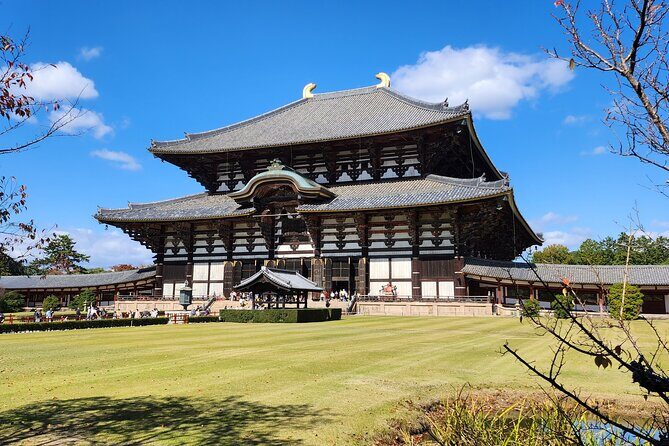 Full Day Guided Tour to Nara from Osaka by Van - Practical Considerations and Value