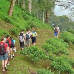 Full-Day Hike and Bike Tour from Chiang Mai - The Journey Begins: What the Tour Looks Like
