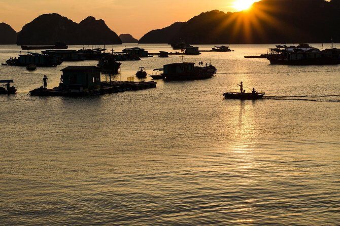 Full day hiking in Jungle of Cat Ba National park - The Frog Pond — Natures Hidden Gem
