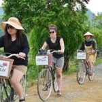 Full day Hoa Lu, Tam Coc and Mua Cave by Limousine from Hanoi - Transport and Comfort