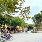 Full Day Hoi An and My Son Private Tour with Lunch - In-Depth Breakdown of the Itinerary