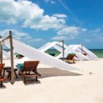 Full-Day Holbox Island Boat and Buggy Tour with Lunch - Things to Consider
