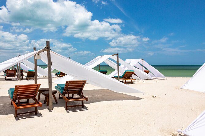 Full-Day Holbox Island Boat and Buggy Tour with Lunch - Things to Consider