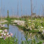 Full-Day Inle Lake - Inn Dein - What Travelers Are Saying