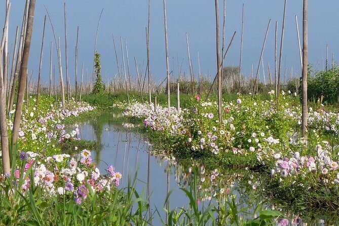 Full-Day Inle Lake - Inn Dein - What Travelers Are Saying