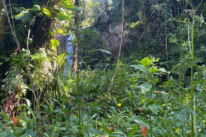 Full Day Island of Maui Private Tour - Final Thoughts: Is It Worth It?