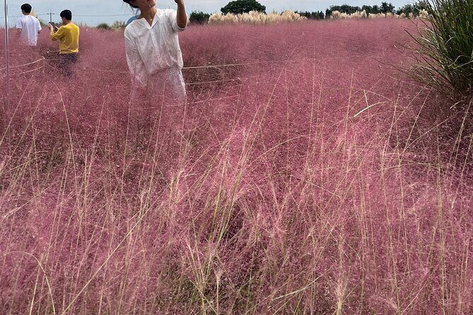 Full-Day Jeju Island SOUTH Tour (entrance fee included) - Why This Tour Is a Great Value