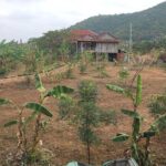 Full-Day Kampot & Kep with a local Tuk Tuk Tours - Deep Dive into the Itinerary