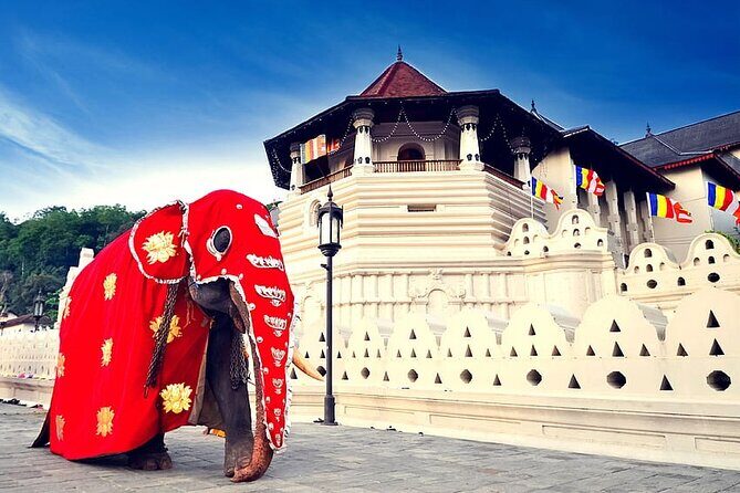 Full Day Kandy City Tour | From Colombo - Transportation and Guides: Making the Most of the Day