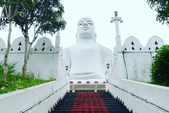 Full day Kandy walking tour with TUK TUK ride to Peradeniya gardens - Who Is This Tour Best For?