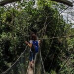 Full-Day Kinabalu Park and Poring Hot Spring Day Trip - Final Thoughts