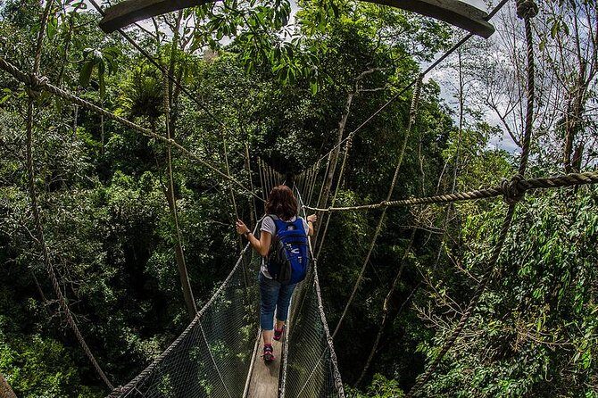 Full-Day Kinabalu Park and Poring Hot Spring Day Trip - Final Thoughts