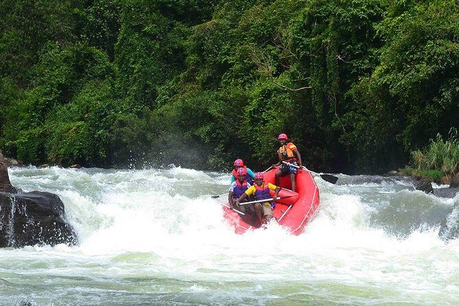 Full-Day Kitulgala White Water Rafting Tour from Colombo - Analyzing the Value and Experience