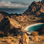 Full Day Komodo Tour With MK Express Speedboat Visit 6 Spot - Who Should Consider This Tour?