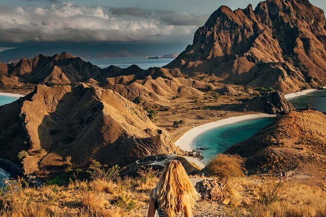 Full Day Komodo Tour With MK Express Speedboat Visit 6 Spot - Who Should Consider This Tour?