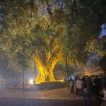 Full Day Lumbini Tour - The Experience You’ll Have