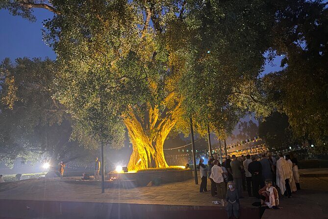 Full Day Lumbini Tour - The Experience You’ll Have
