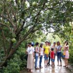 Full-day Mekong Delta and My Tho tour from Ho Chi Minh City - Is This Tour for You?