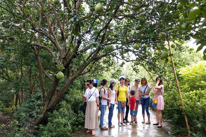 Full-day Mekong Delta and My Tho tour from Ho Chi Minh City - Is This Tour for You?