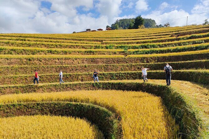 Full day motorbike Mu Cang Chai - An In-Depth Look at the Tour