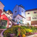 [ Full Day ] Nami Island & Petit France From Seoul - Who Should Consider This Tour?