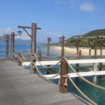 Full-day Nha Trang Coastal Journey With Beach & Marine Treasures - Marine Life & Cultural Enrichment