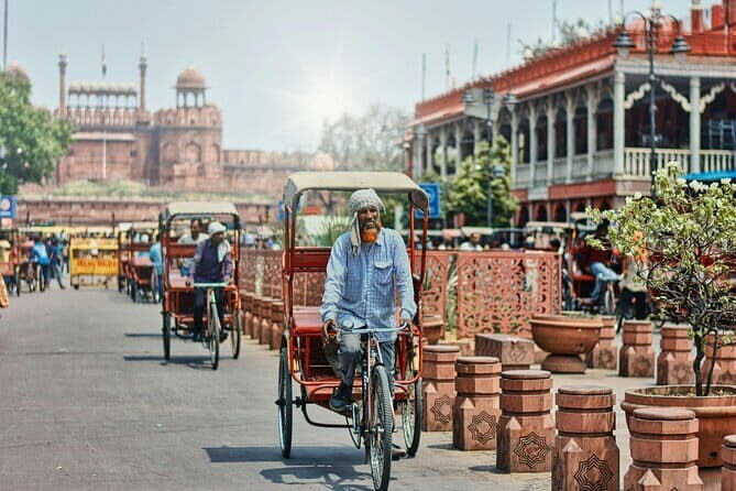 Full day old and new delhi city tour (8 Hours) - What the Reviews Say