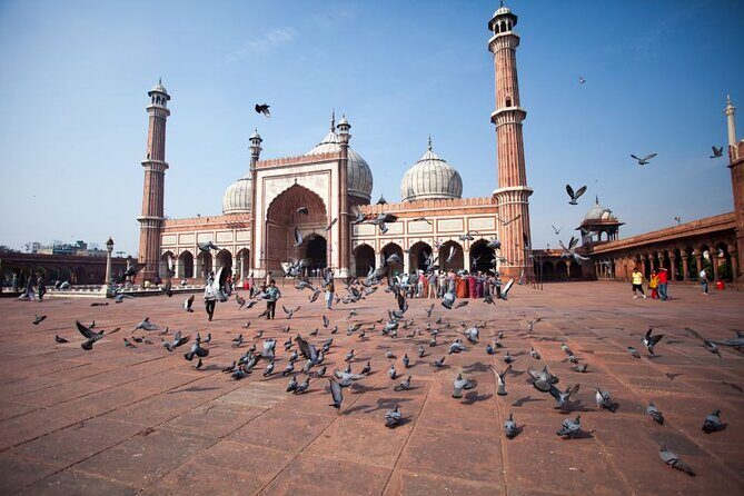 Full Day Old and New Delhi Private Tour with Guide - Authentic Experiences and Real Traveler Insights