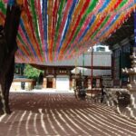 Full-Day Palace Tour in Seoul - What Makes This Tour Stand Out?