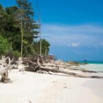 Full Day Phi Phi & Bamboo Islands Tour by Speedboat & Lunch - Why This Tour Works Well