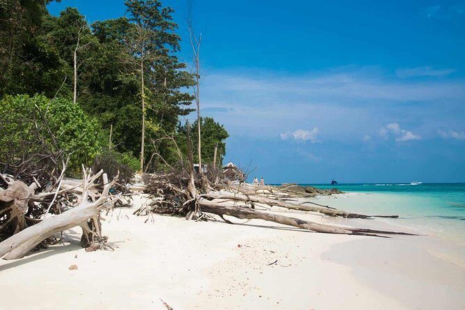 Full Day Phi Phi & Bamboo Islands Tour by Speedboat & Lunch - Why This Tour Works Well