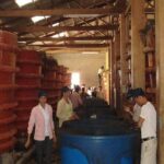 Full-Day Phu Quoc Island Tour - Starting the Day: Farms, Factories, and Culture