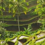 Full-Day Private and Guided Tour Around Ubud - Who Should Consider This Tour?