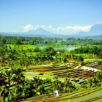 Full-Day Private Bali Car Charter with English Speaking Driver - Who Is This Tour Best For?