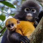 Full-Day Private Boat Ride and Seafood Dinner in Kuala Selangor - Detailed Breakdown of the Itinerary