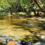 Full-day private car charter from Siem Reap city to Phnom Kulen x Beng Mealea - Exploring Phnom Kulen and Beng Mealea: The Details