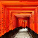 Full Day Private Car Tour in Kyoto - What Reviewers Say (Based on Available Feedback)