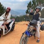 Full-Day Private Guided Dalat Countryside Tour - A Deep Dive into the Itinerary