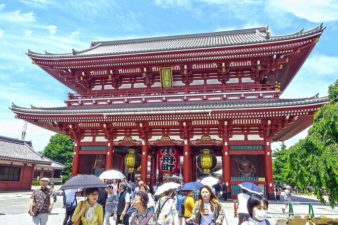Full-Day Private Guided Tour in Tokyo - Stop 3: Meiji Jingu Shrine