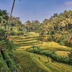 Full Day Private Guided Tour to Bali - The Itinerary Breakdown: What to Expect at Each Stop