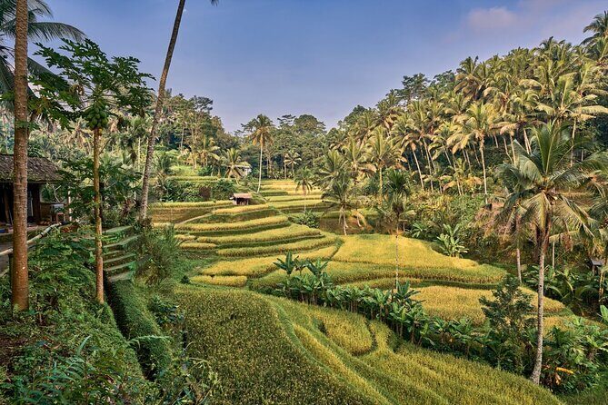 Full Day Private Guided Tour to Bali - The Itinerary Breakdown: What to Expect at Each Stop