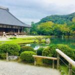 Full-Day Private Guided Tour to Kyoto, Arashiyama - Practical Details and Value