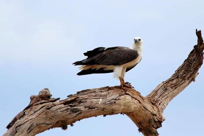 Full Day Private Safari at Yala National Park by La Safari Inn Tours - Transportation and Group Size